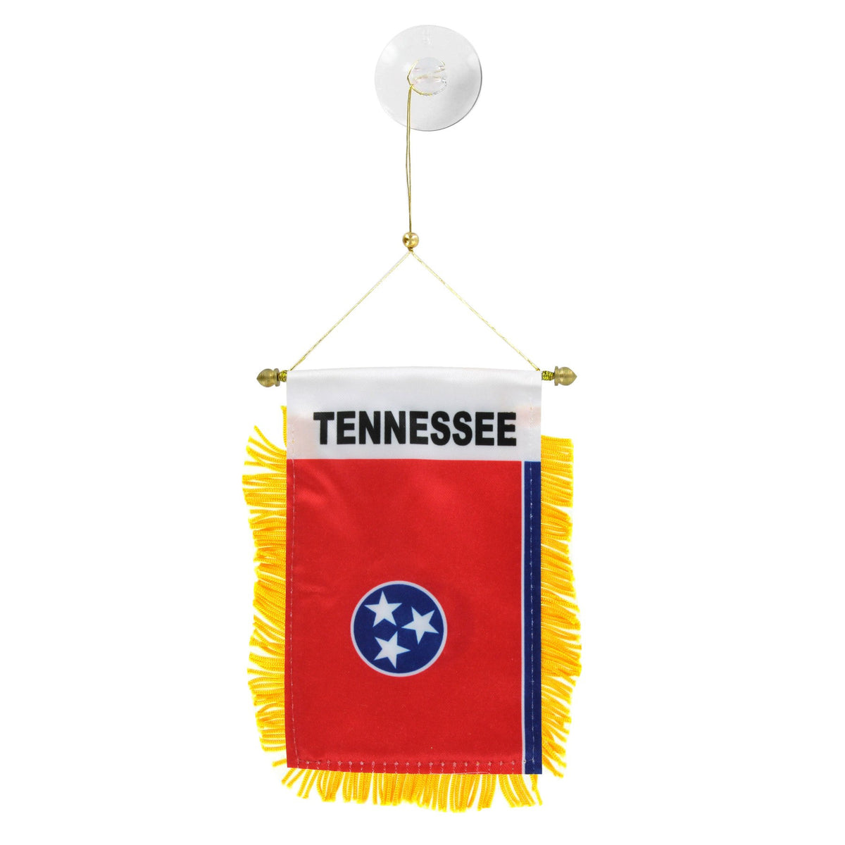 Tennessee Mini Banner